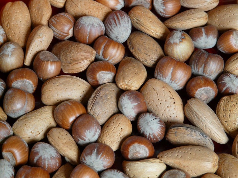 AlerTox for Tree Nut Allergens