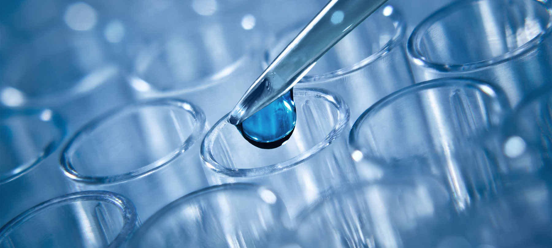 What's the difference between LFD , ELISA and PCR testing?