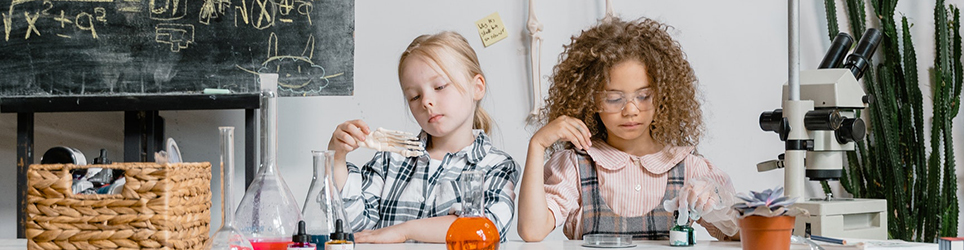 Gluten-Free School Science Fair Experiments: Part 6 - Emport LLC