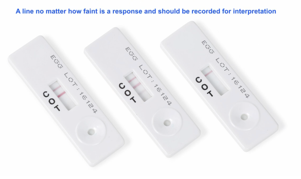 Bio-Check (UK) Allergen FlowThrough™ LFD Swab - Emport LLC